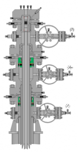 Sentry Wellhead Systems